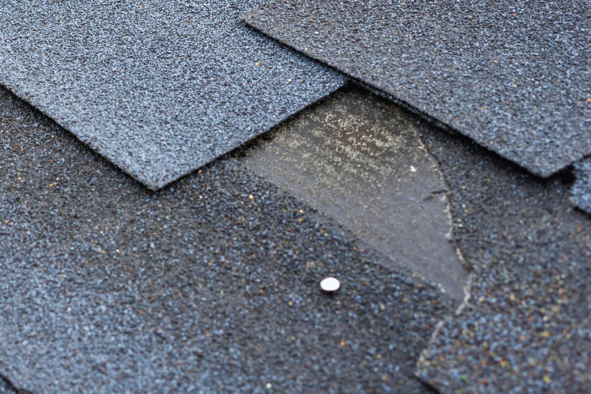 How to Spot Wind-Damaged Shingles on Your Roof